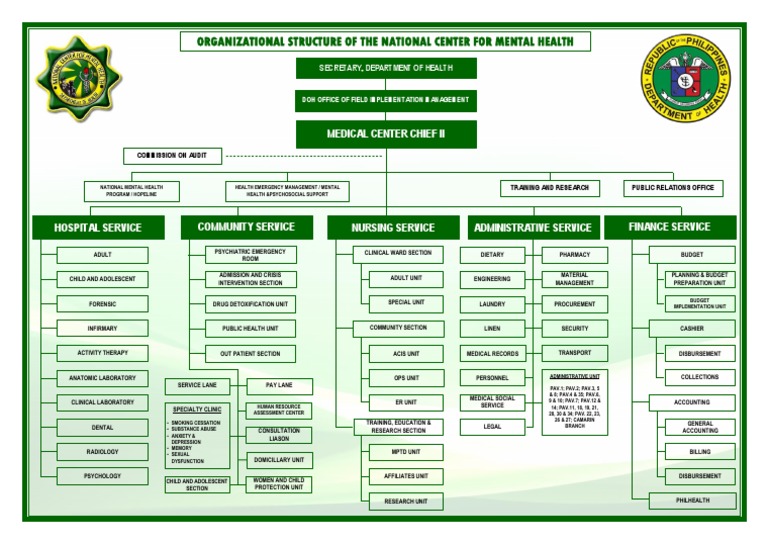 Psychiatric Hospital Organizational Chart