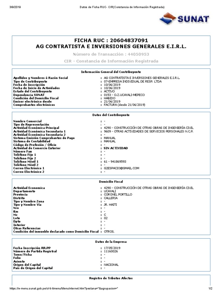 Ficha Ruc | PDF | Gobierno | Business