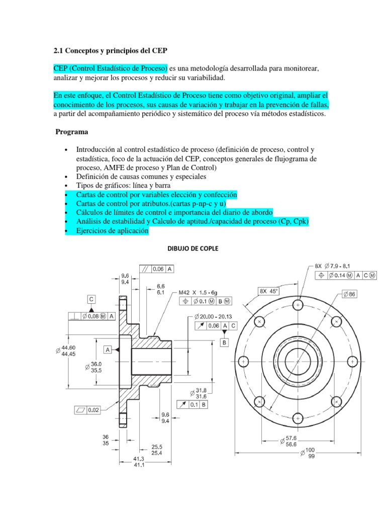 2.1 Conceptos Generales y Principios Del CEP | PDF | Negocios