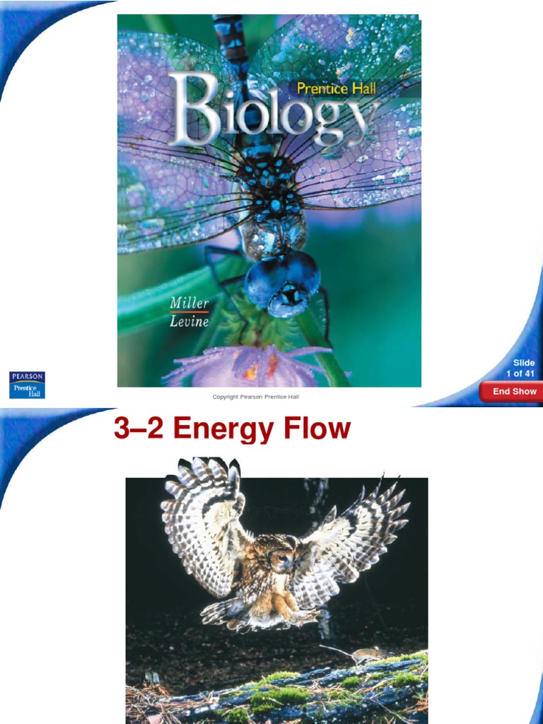 Chapter03 Section02 Edit | PDF | Food Web | Ecosystem