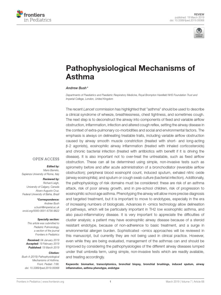 Pathophysiological Mechanisms of Asthma: Andrew Bush | PDF | Asthma | Cough
