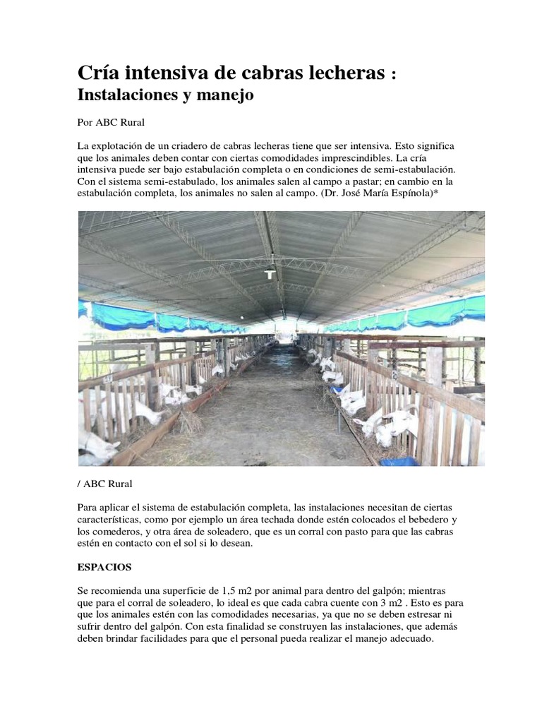 Cría Intensiva de Cabras Lecheras | PDF | Cabra | Granero