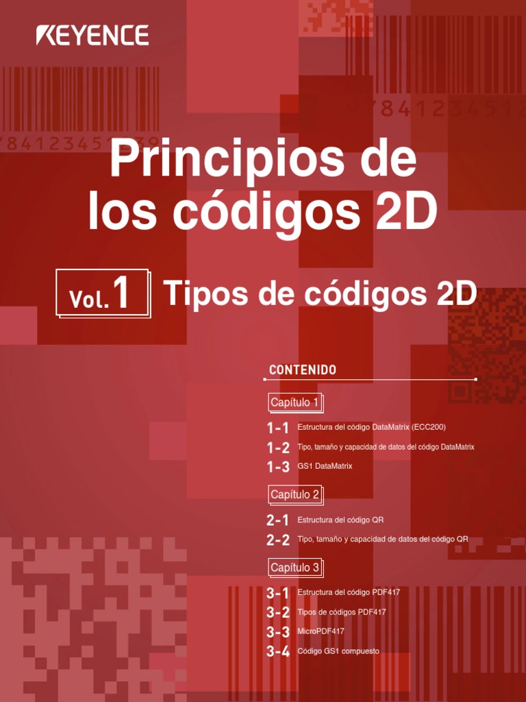 Principios de Codigos 2d | PDF | Algoritmos | Infografia