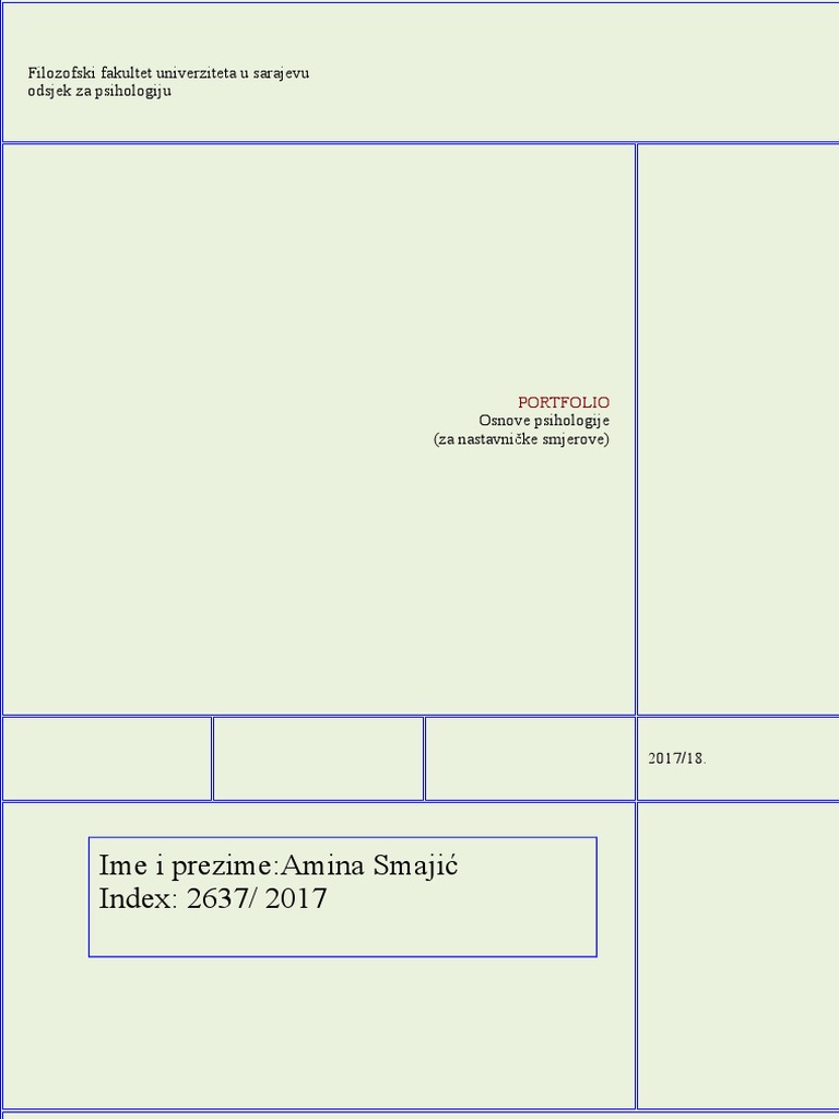 Amina Portfolio | PDF