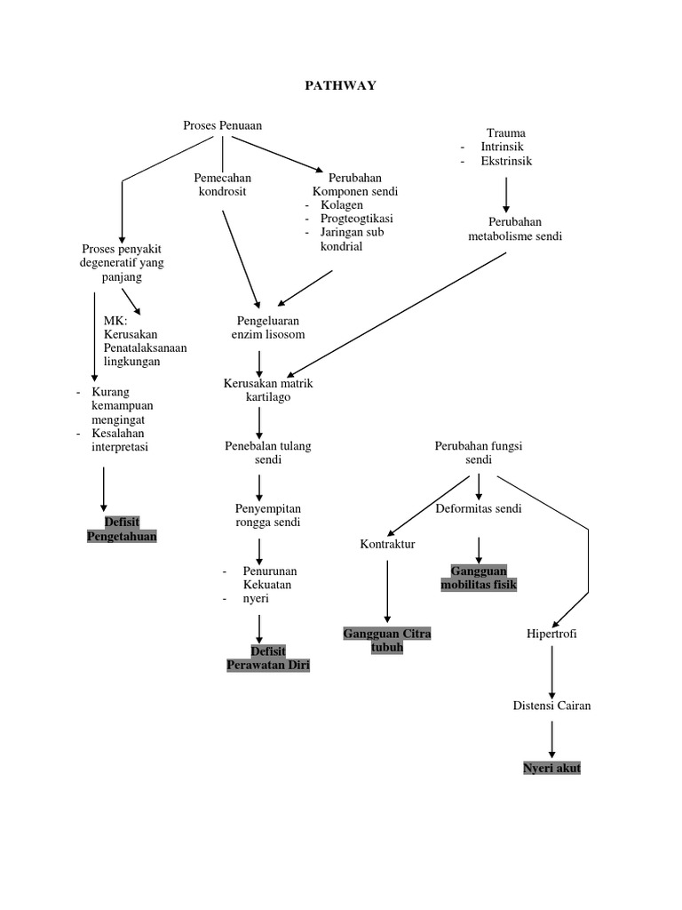 Pathway Oa Genu | PDF