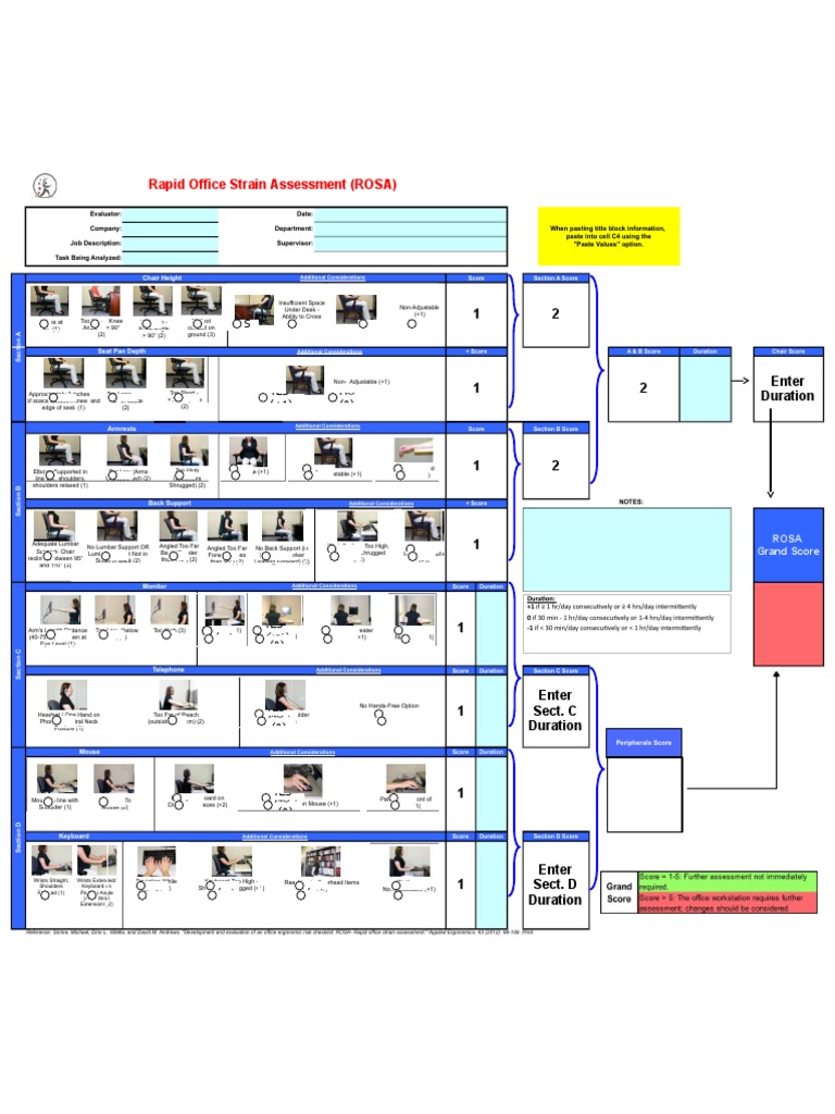 Rosa Form | PDF | Chair