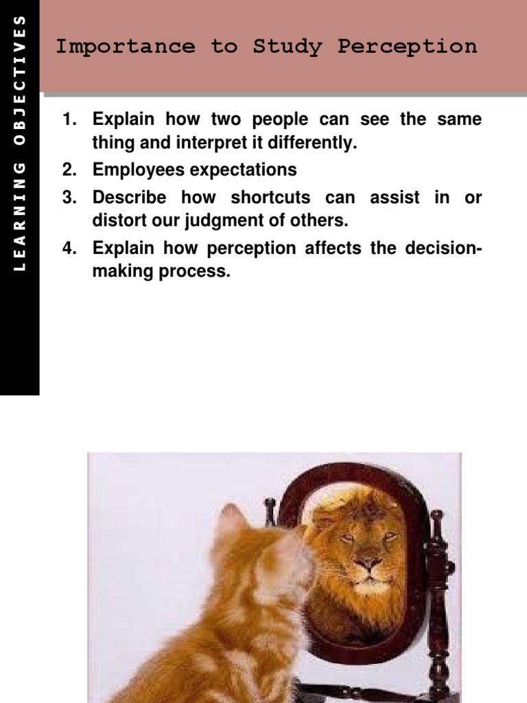 Importance To Study Perception Pdf Mental Processes Perception