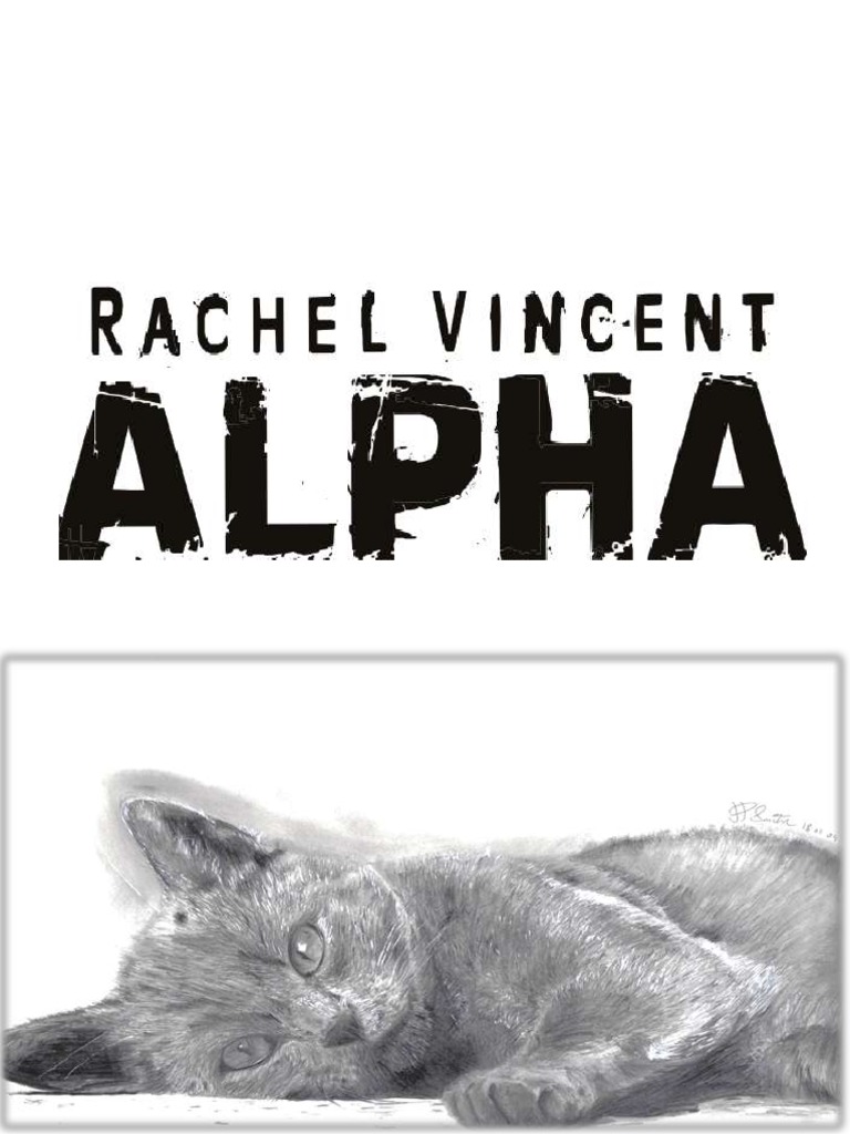 Mi Alma Para Llevar A Rachel Vincent