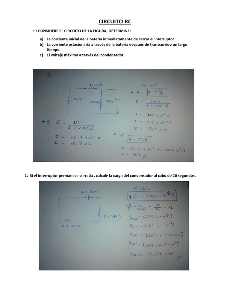 Hoja De Trabajo De Problemas De Repaso De K2 Biología Contemporánea