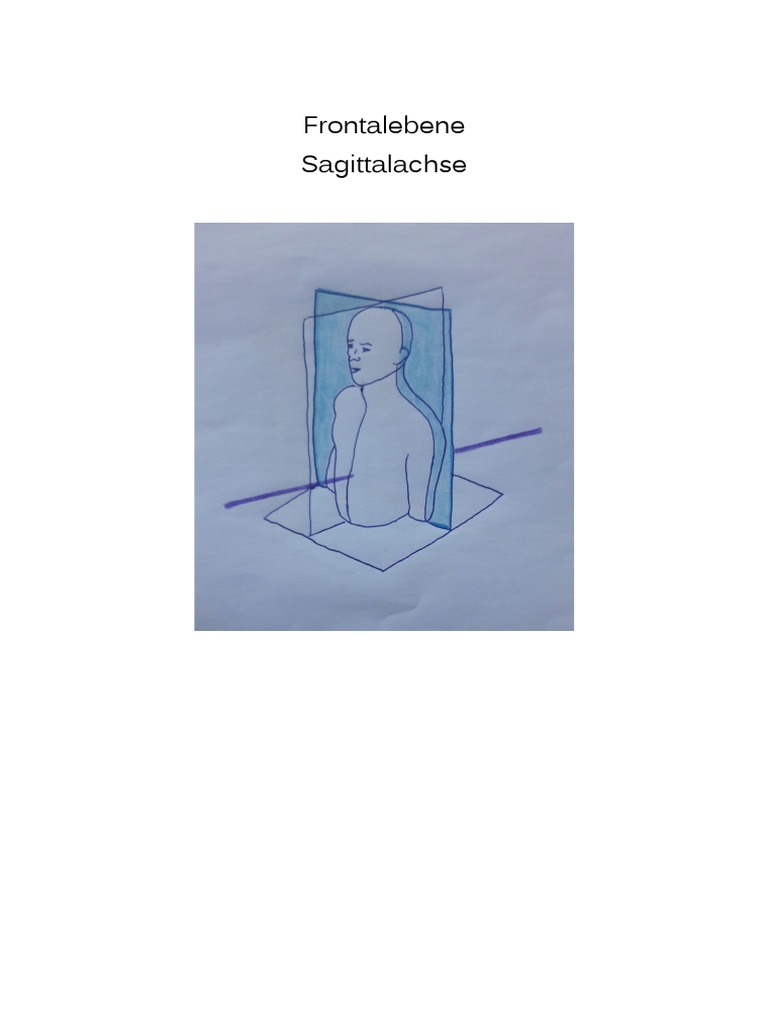 Frontalebene | PDF