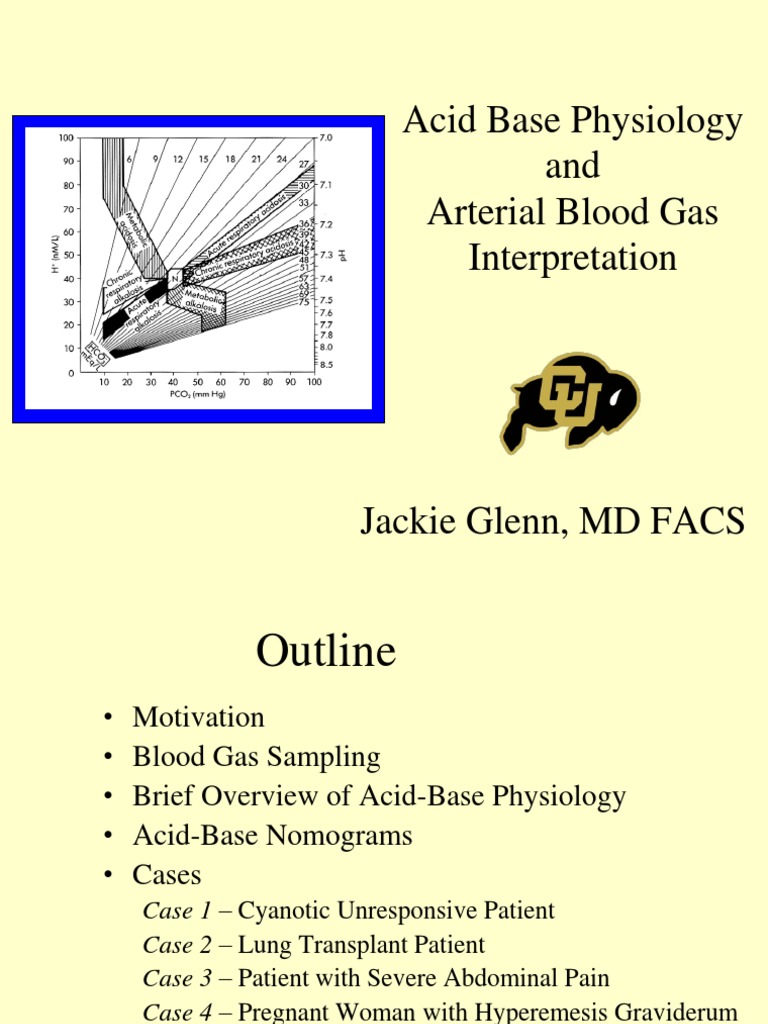 2014-02-17 Acid Base Physiology and ABG Interpretation PDF | PDF | Buffer Solution | Bicarbonate