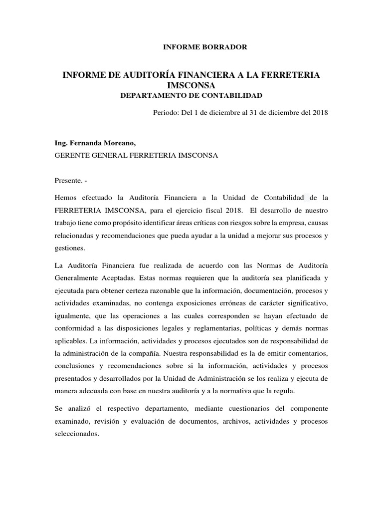 Informe Borrador | PDF | Auditoría | Contabilidad