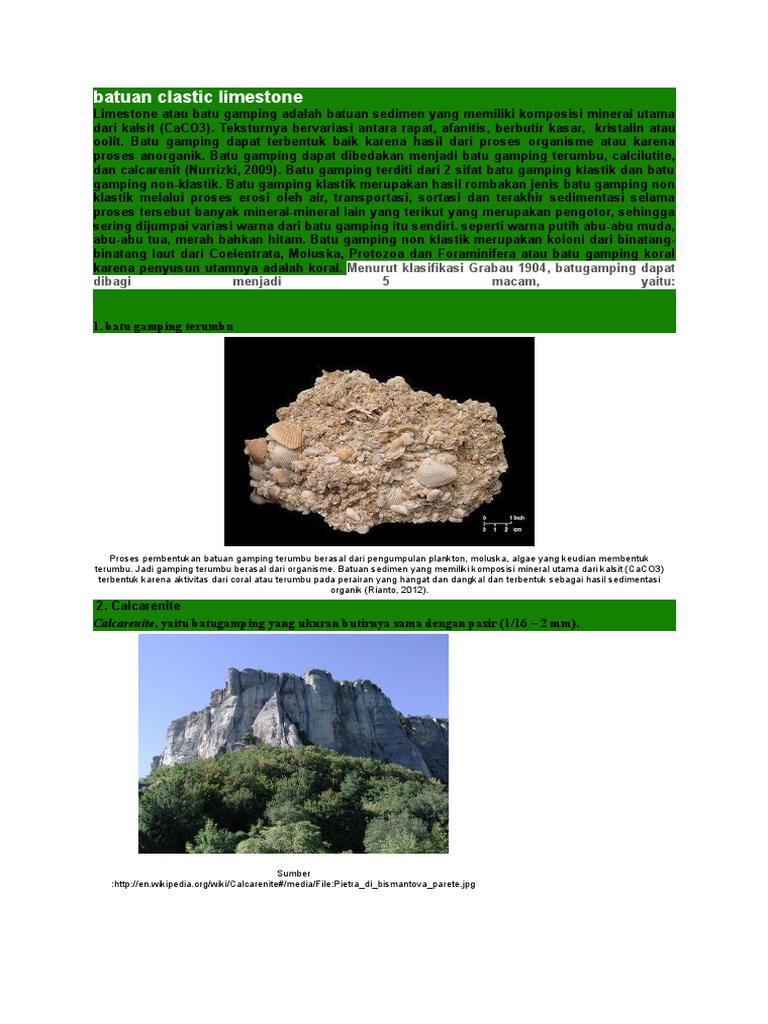 Batuan Clastic Limestone | PDF