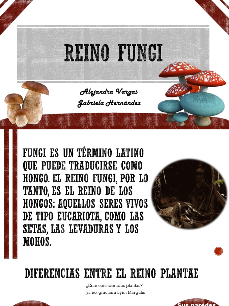 Reino Fungi | Descargar gratis PDF | Molde | Hongo