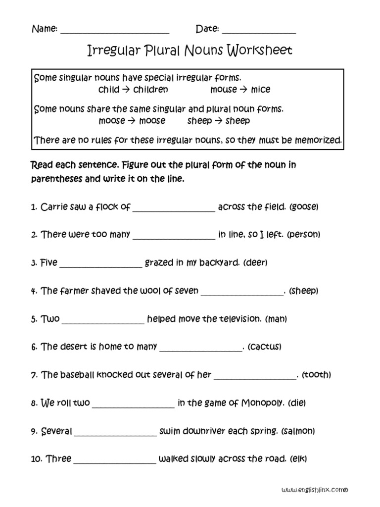 Irregular Plural Nouns Worksheet PDF | PDF