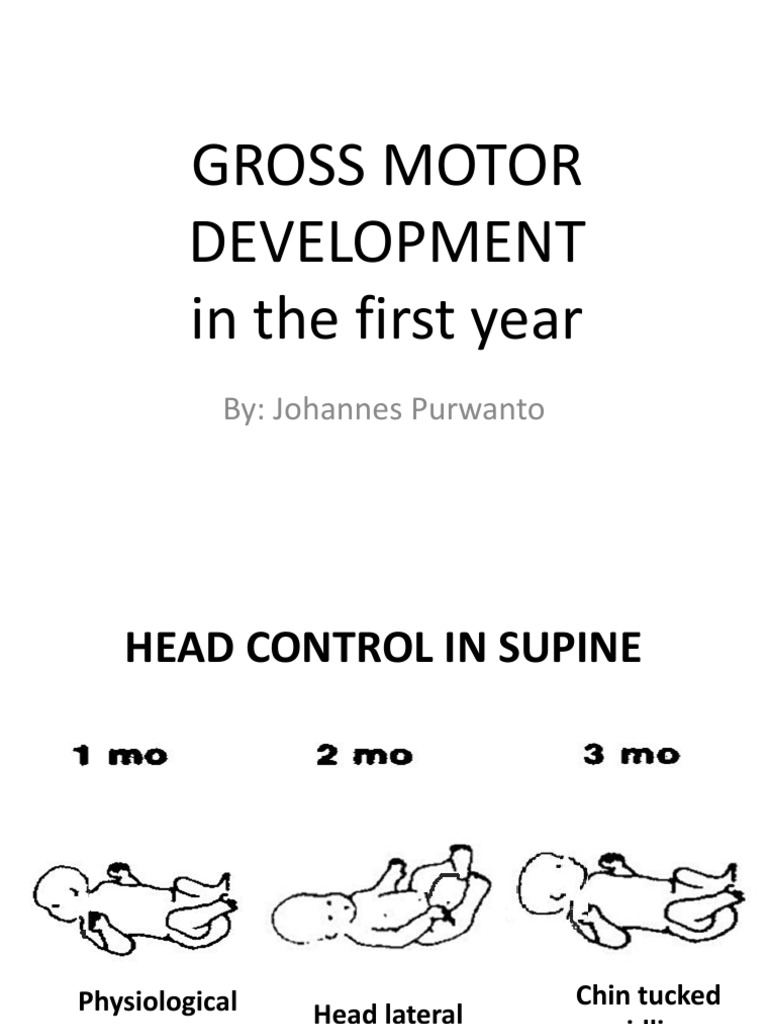 Gross Motor Development | PDF | Anatomical Terms Of Motion | Pelvis