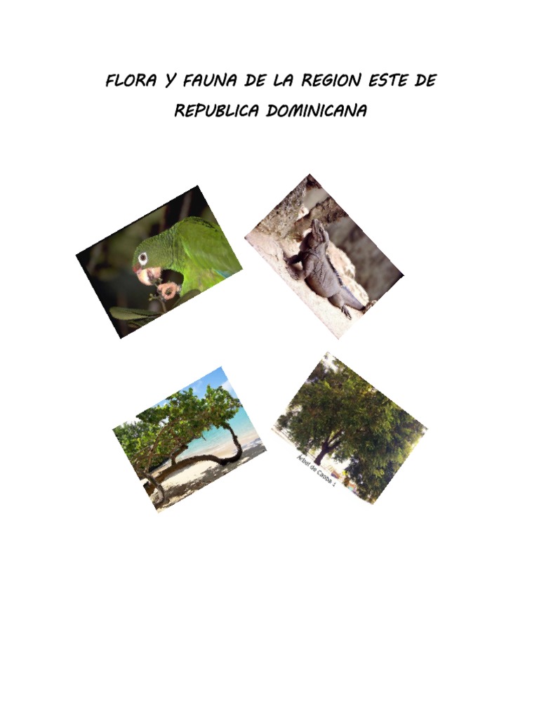 Flora y Fauna de La Region Este de Republica Dominicana | PDF