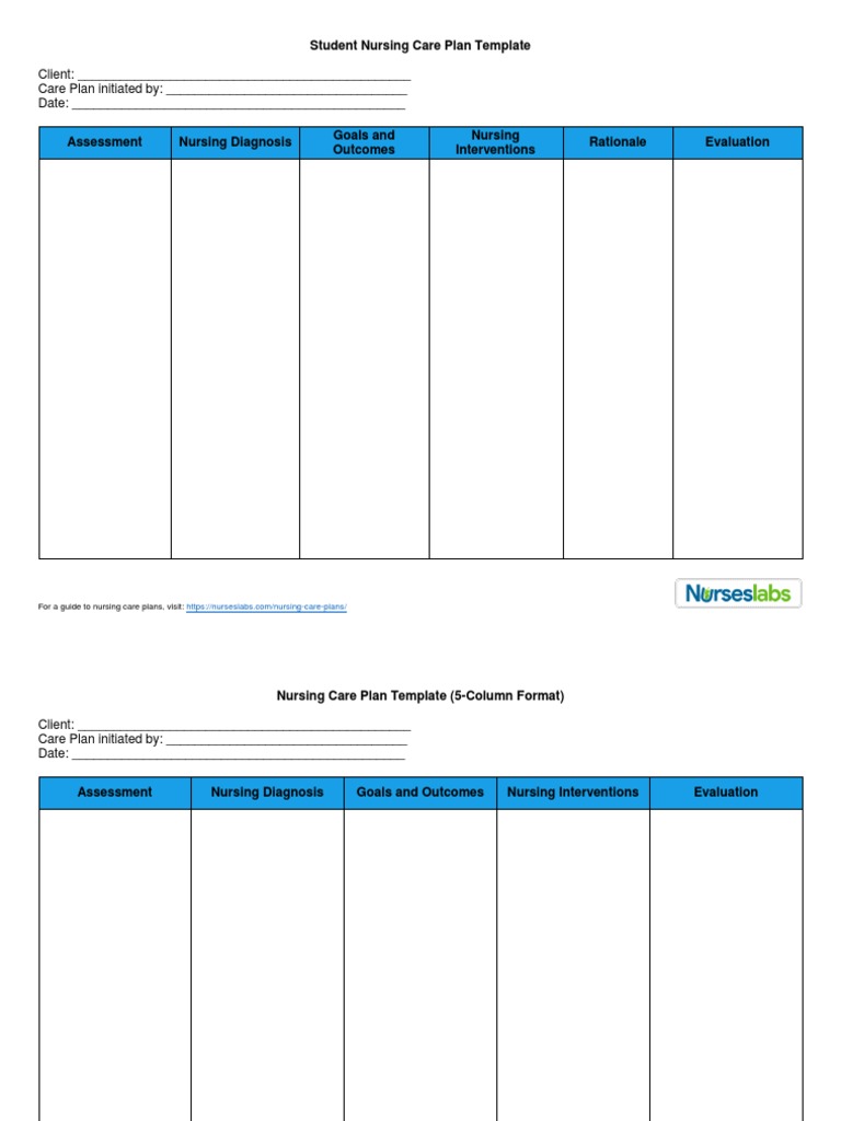 Student Nursing Care Plan Template | PDF