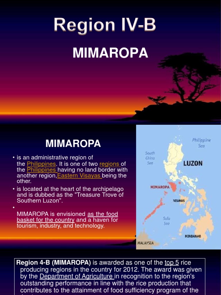 An Overview of the MIMAROPA Region and its Provinces | PDF | Nature
