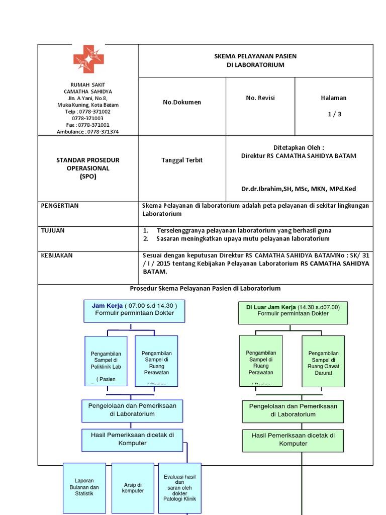 Skema Pelayanan Laboratorium RS Camatha | PDF | Kesehatan Holistik ...
