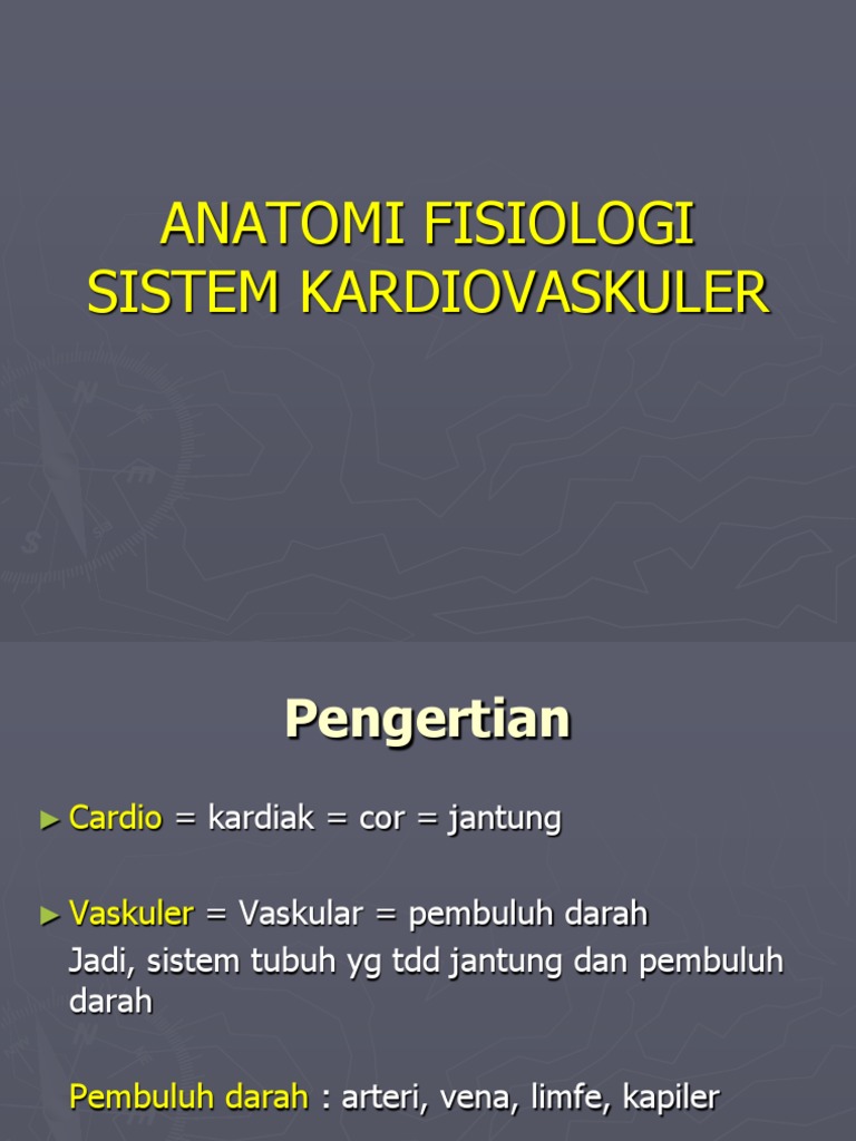 Anatomi Fisiologi Sistem Kardiovaskuler | PDF