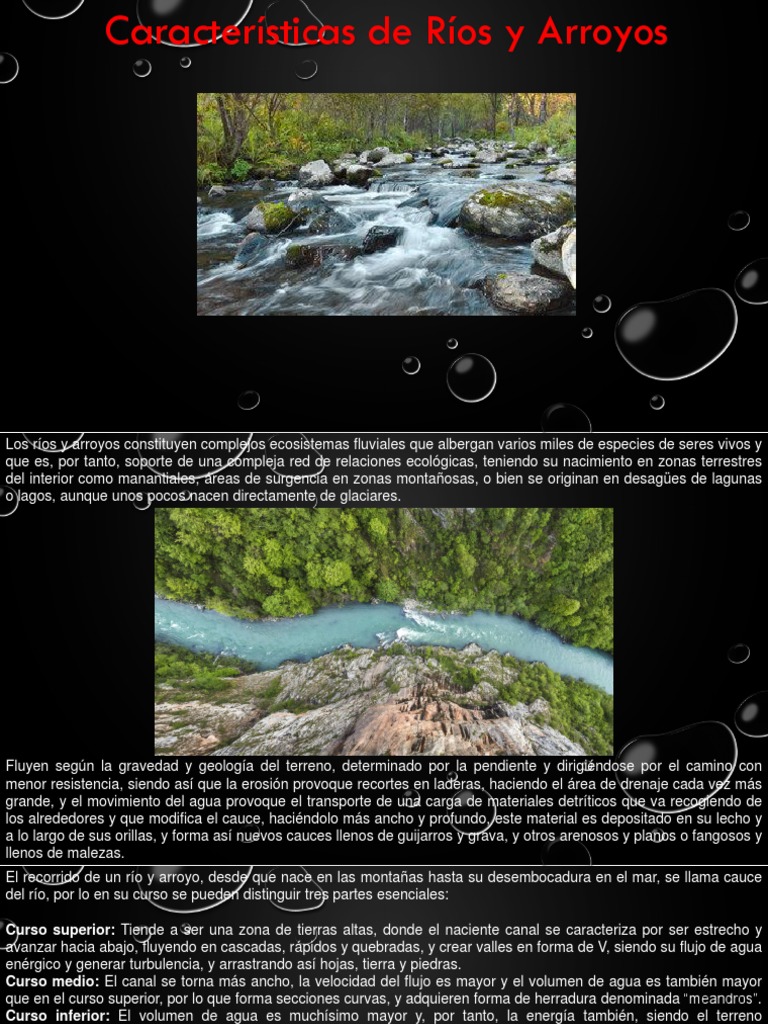 Caracteristicas de Rios y Arroyos | PDF | Río | lago