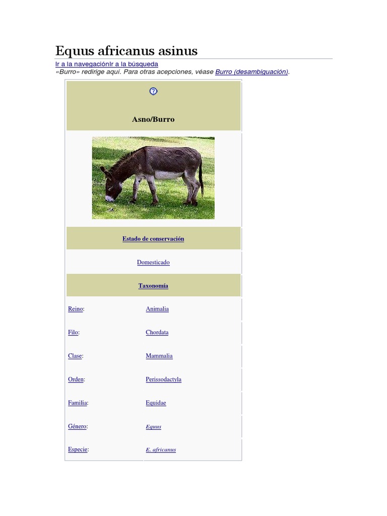 Taxonomía y características del asno | PDF | Burro | Équidos