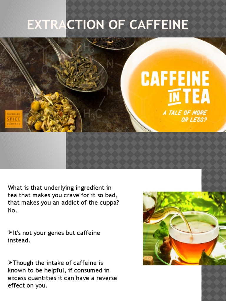 Extraction of Caffeine | PDF | Caffeine | Tea