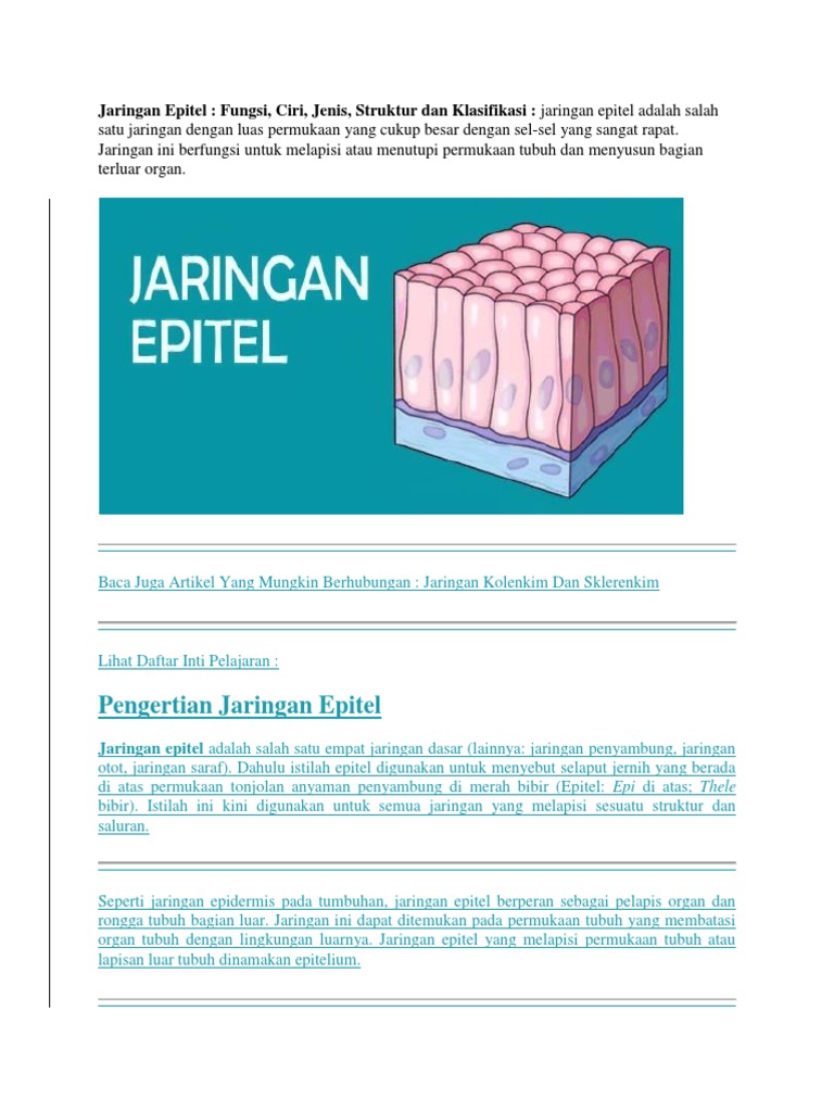 Jaringan Epitel | PDF