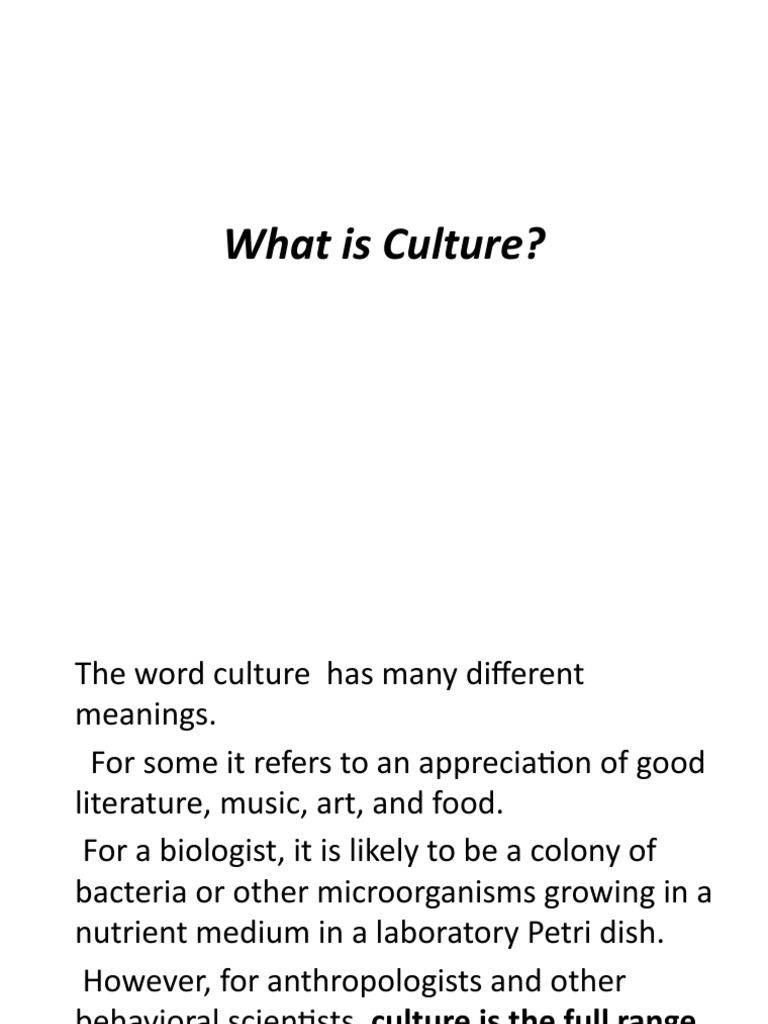 what-is-culture-pdf-value-ethics-human