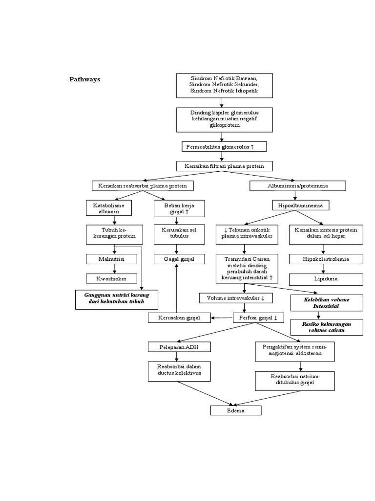 Pathway Sindrom Nefrotik | PDF