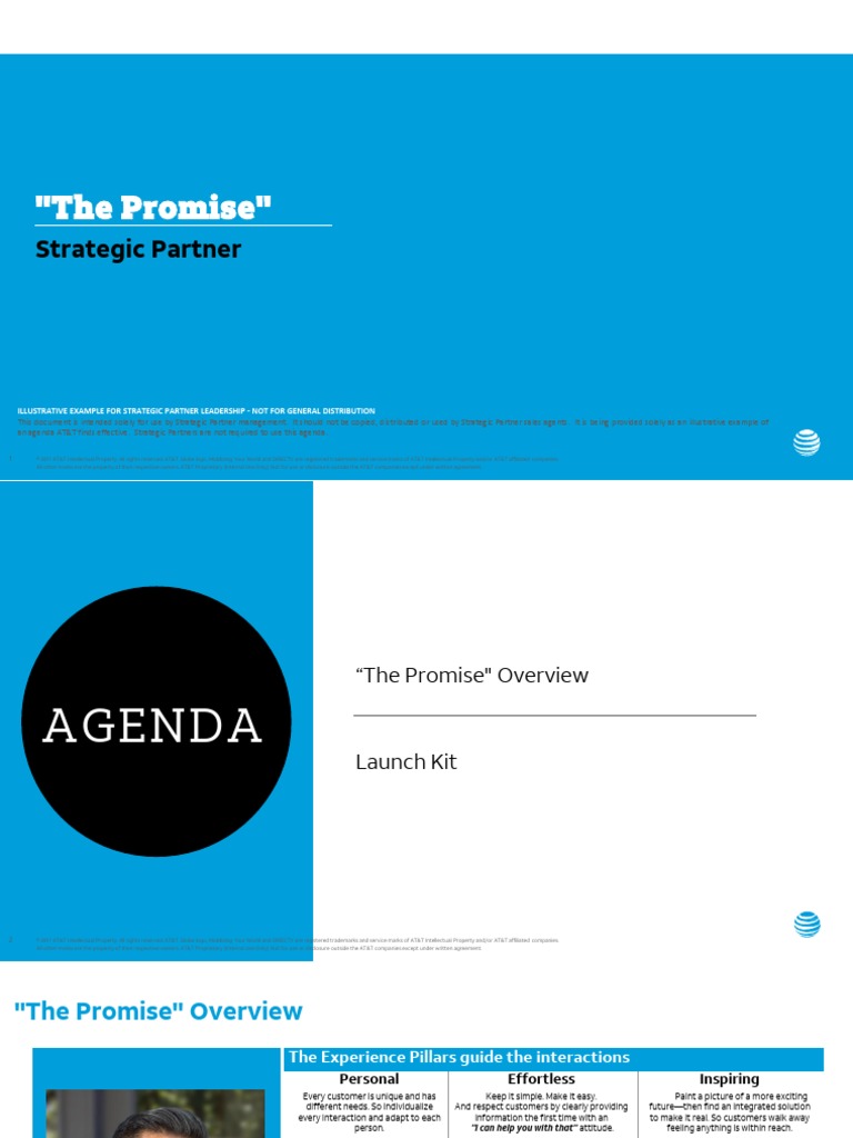 1 The Promise Manager Guide Strategic Partners | Download Free PDF | At ...