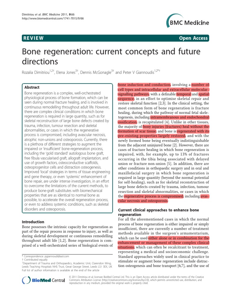 1 - Bone Regeneration | PDF | Tissue Engineering | Bone