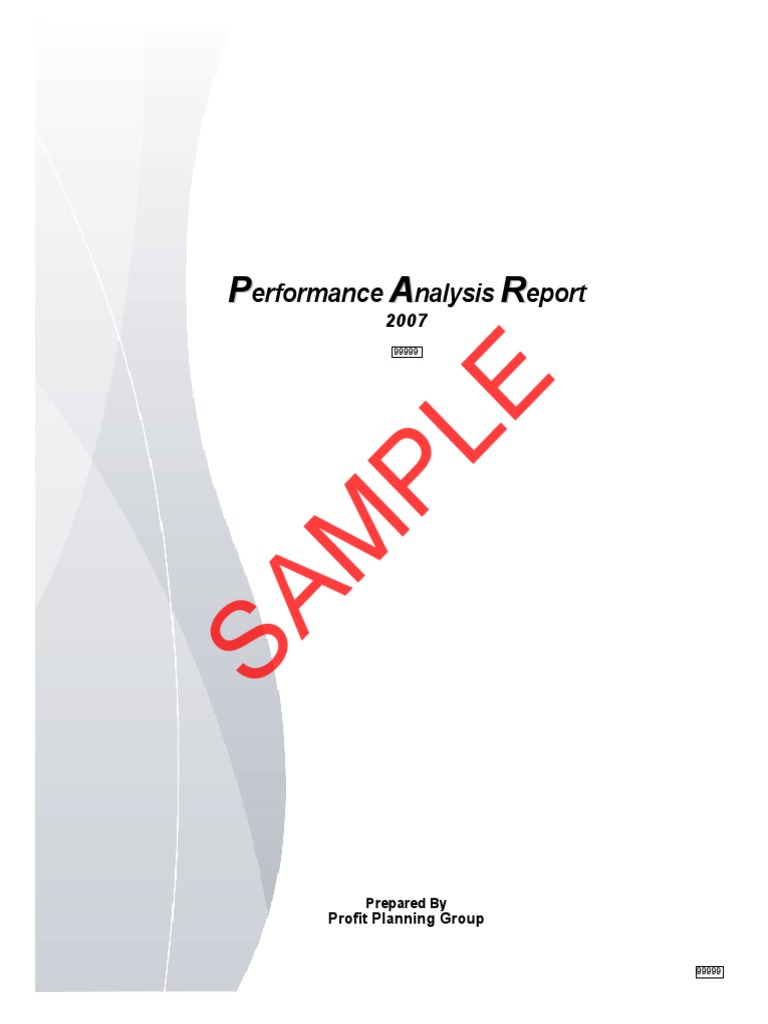 Business Performance Analysis Report Example | PDF | Revenue | Inventory