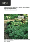 Composting Guide | PDF | Compost | Trees