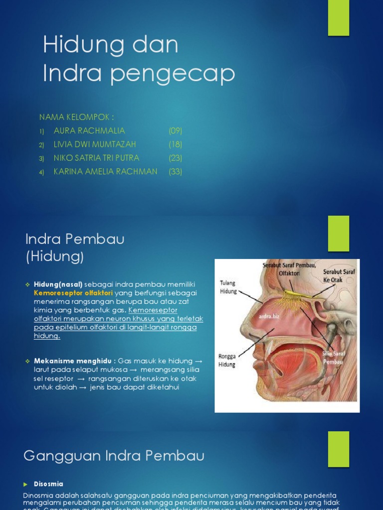 Hidung Dan Indra Pengecap | PDF | Seni & Disiplin Bahasa | Kajian ...
