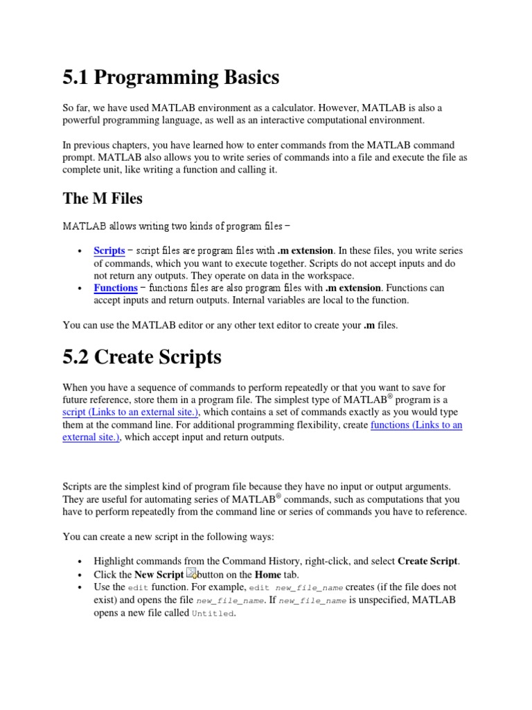 5.1 Programming Basics: The M Files | PDF | Parameter (Computer Programming) | Control Flow