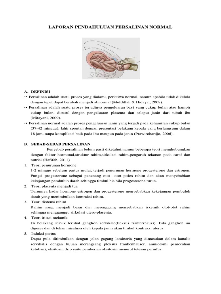 Laporan Pendahuluan Persalinan Normal | PDF