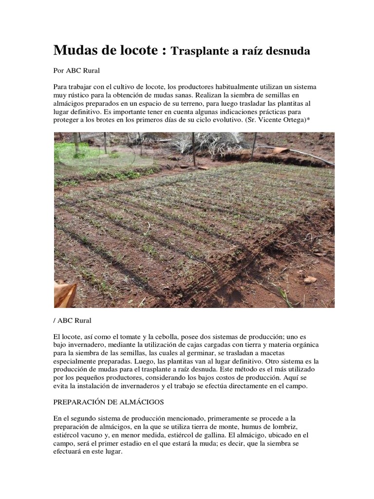 Mudas de Locote | PDF | Siembra | Paisaje