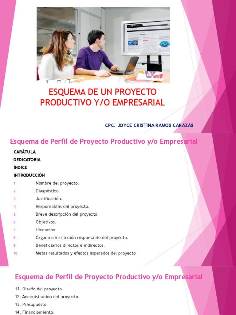 Esquema de Proyecto Productivo | PDF | Contabilidad | Economias