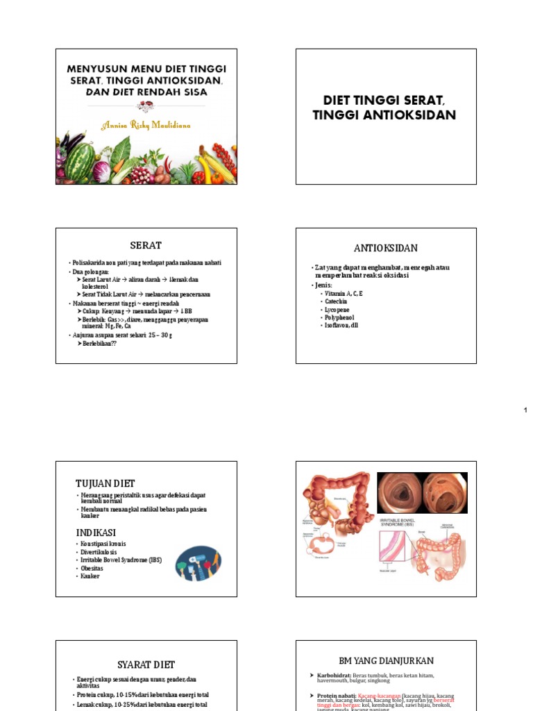 Diet Tinggi Serat, Rendah Sisa | PDF