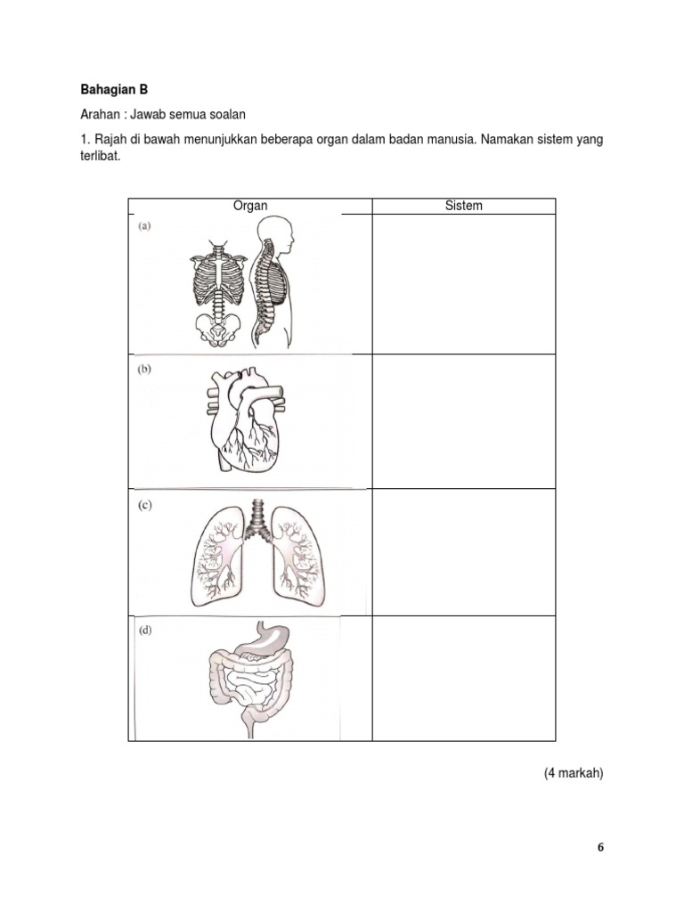 Bahagian B Dan Bahagian C | PDF