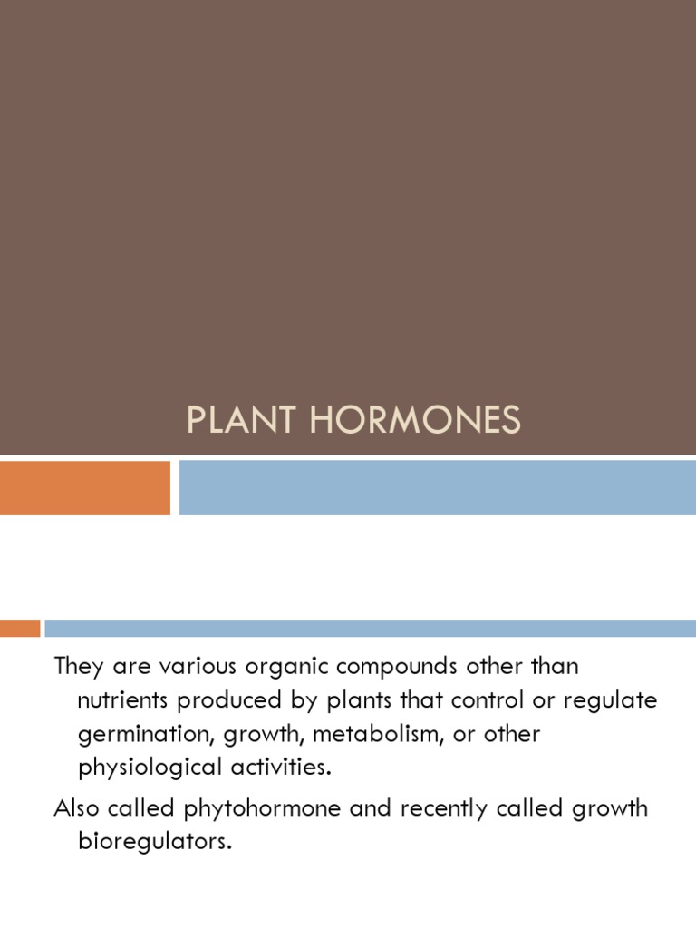 Plant Hormones | PDF | Plant Hormone | Auxin