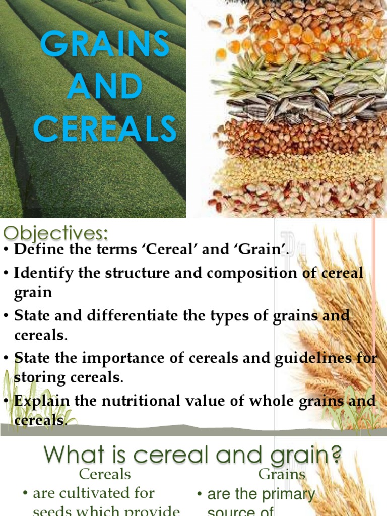 Cereals and Grains | PDF | Cereals | Barley