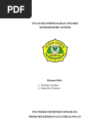 Reflex Grading Scale Overview | PDF