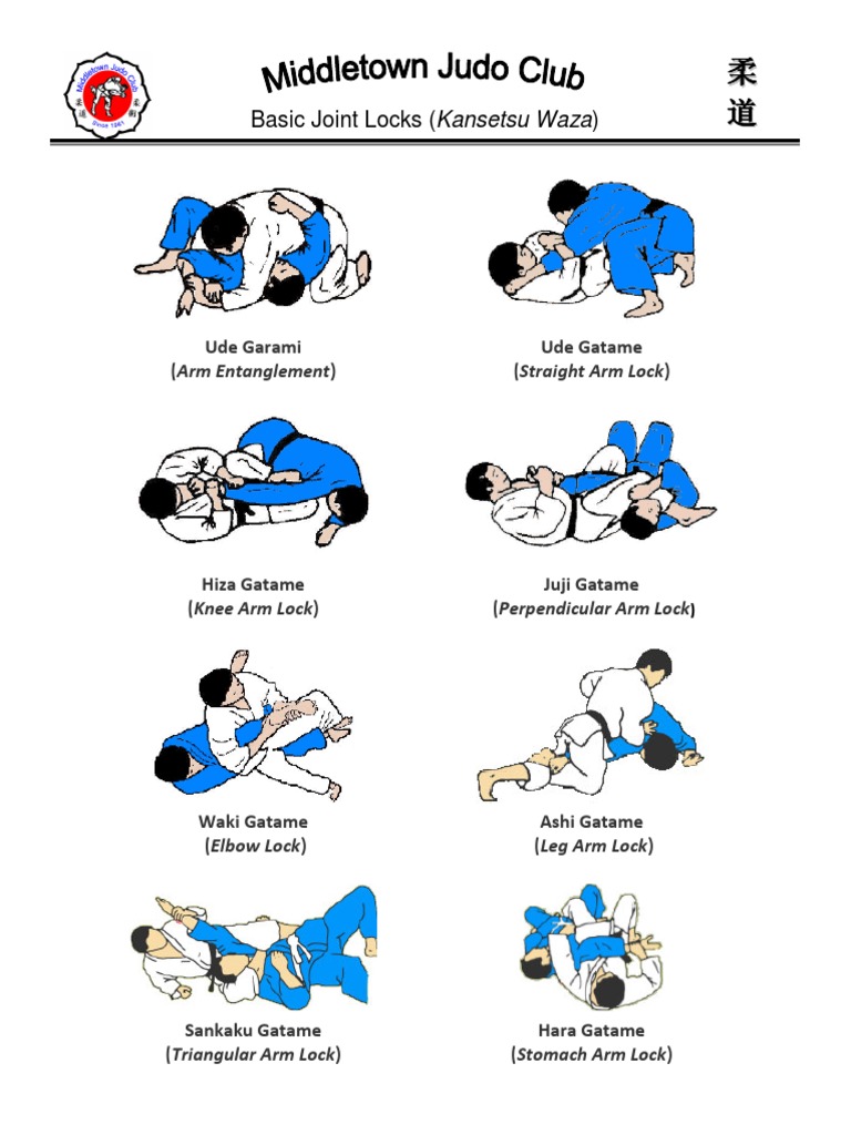 Basic Joint Locks (Kansetsu Waza) | PDF
