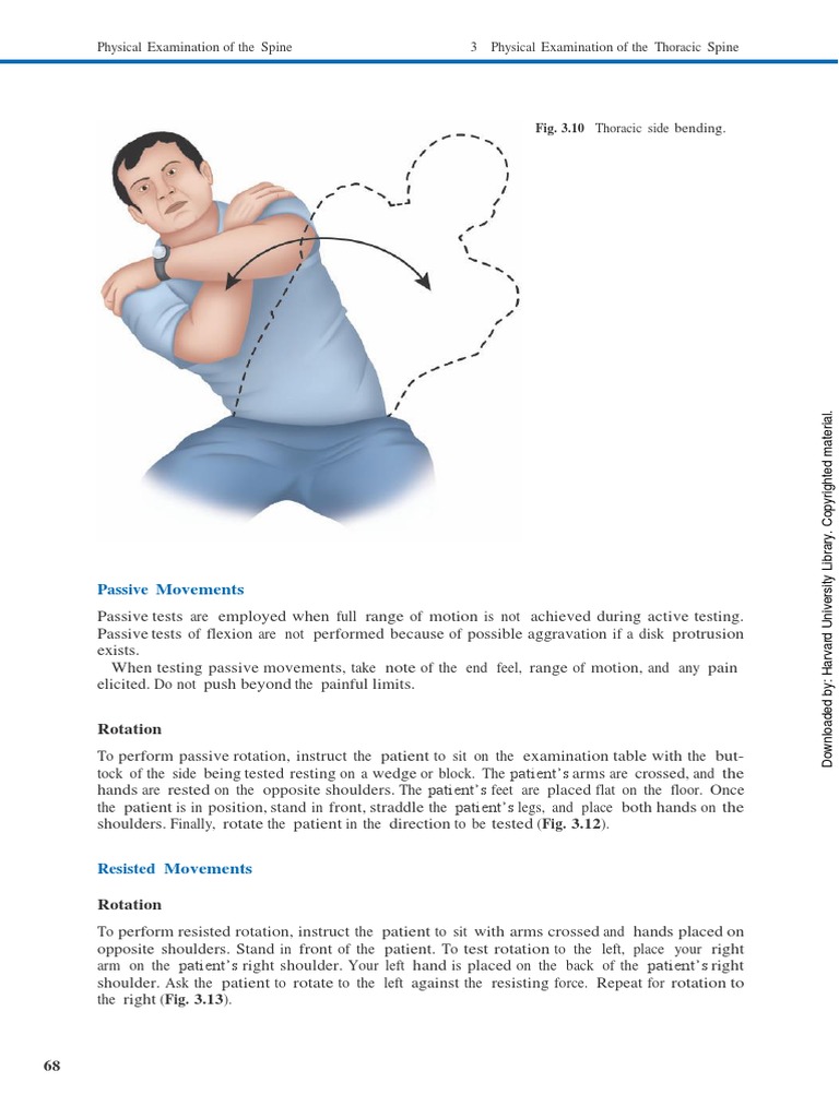 Physical Examination of The Spine 3 Physical Examination of The ...