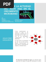 Enzima Invertasa | PDF | Sacarosa | Química