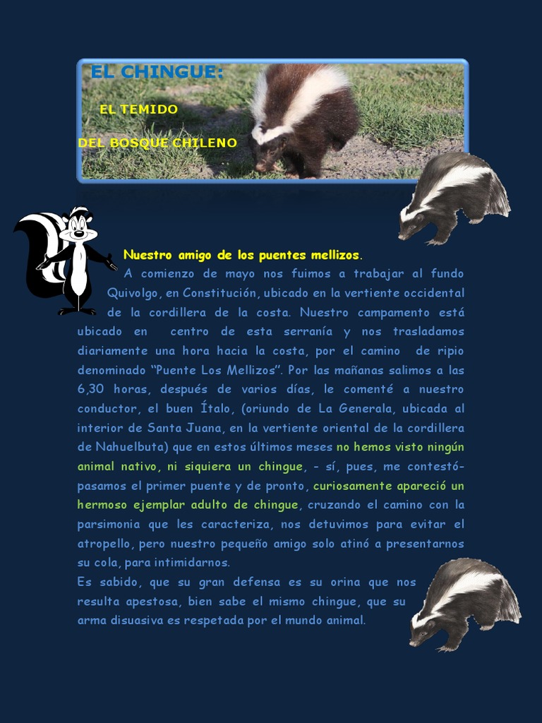 Chingue Patagonico | PDF | Chile | América del Sur