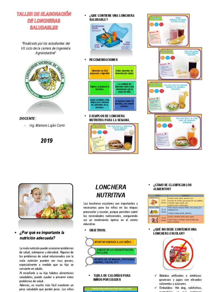 Triptico de Lonchera Nutritiva | PDF | Alimentos | Nutrición